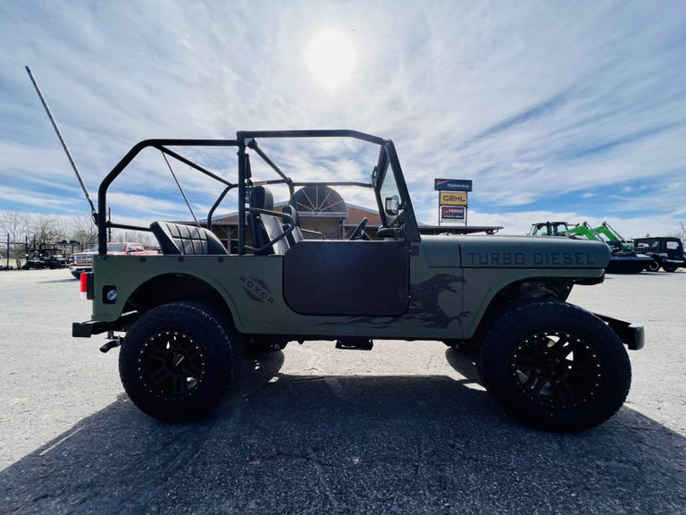 ROXOR Rear Roll Cage *ONLY* (2018-2025) – UTV Mountain Accessories