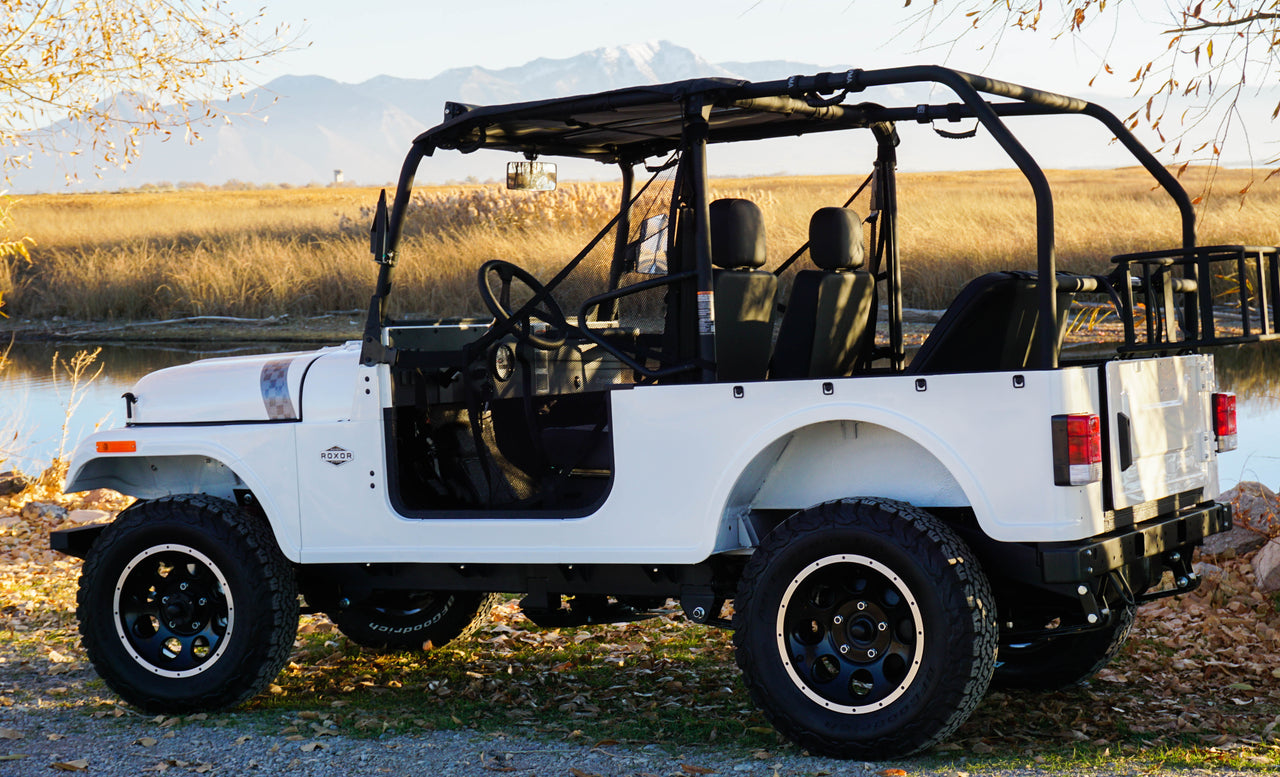 Mahindra ROXOR Back Seat & Roll Cage Kit (2018-2025) – UTV Mountain ...